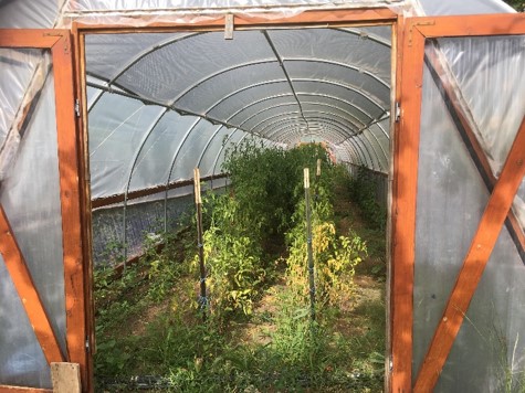 amyofarms7 – Hannah Contrucci, MS, RDN, LD