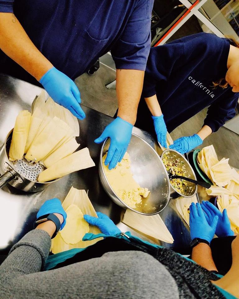 Work Experience – Hannah Contrucci, MS, RDN, LD